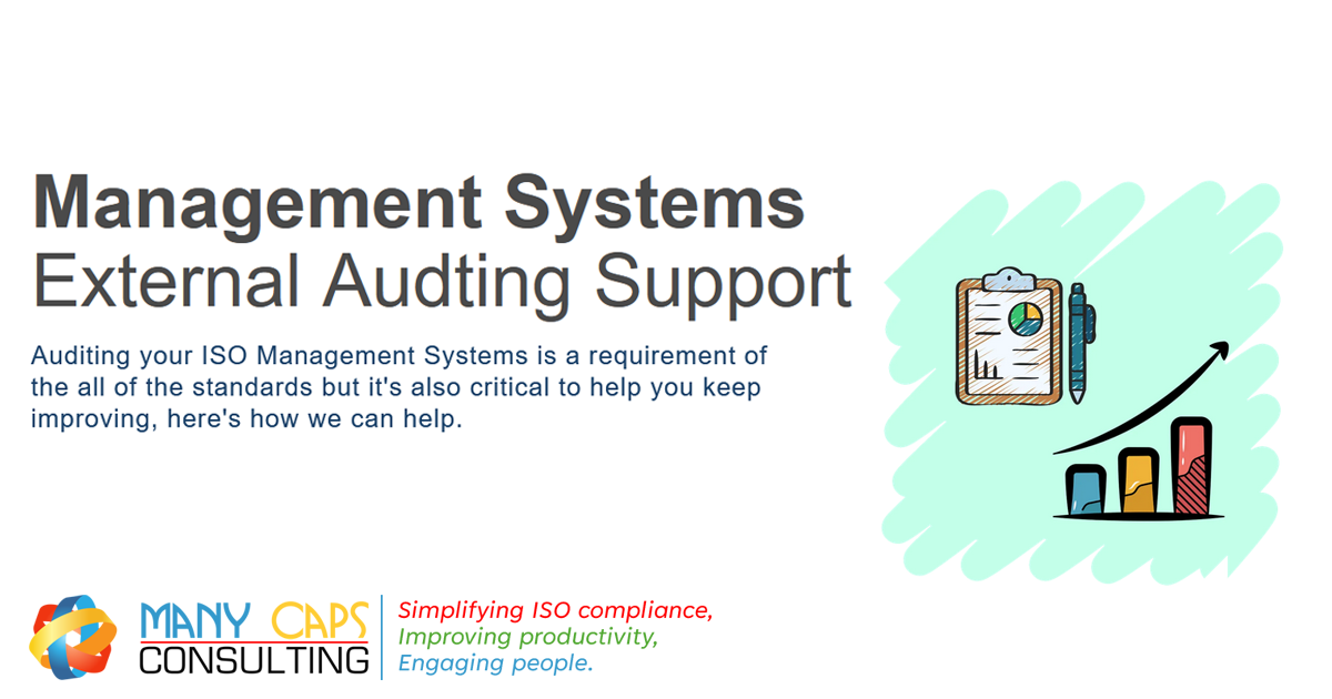 External Auditing Support